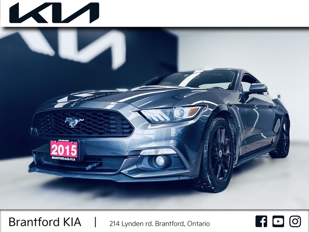 2015 Ford Mustang | $15,991 | 144,023 km | Gas Coupe for sale by ...