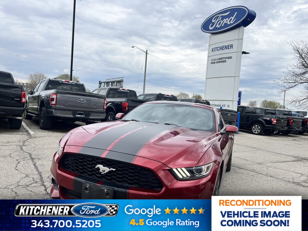2015 Ford Mustang | $19,398 | 136,797 km | Gas Coupe for sale by ...