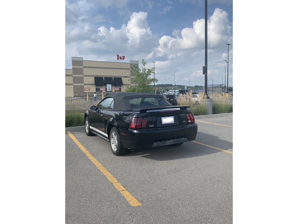 2002 Ford Mustang 2dr Convertible - Thornhill