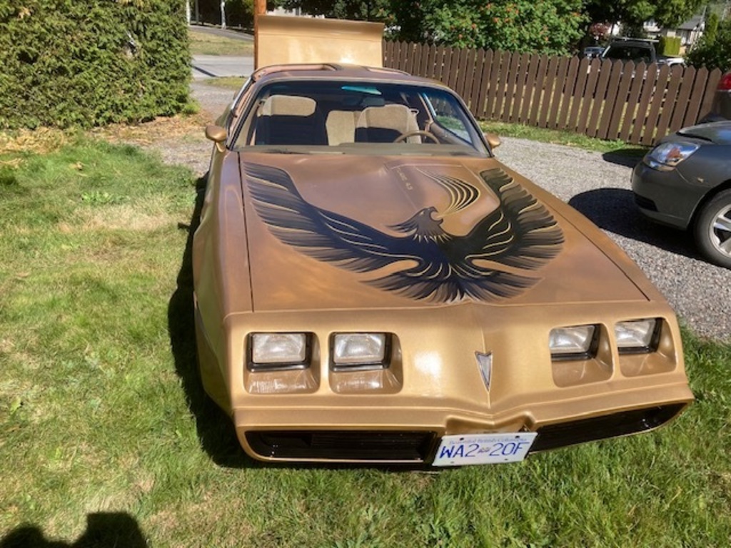 1980 Pontiac Firebird trans Am - Terrace