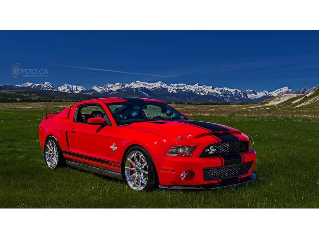 2010 Ford Mustang | $110,000 | 8,800 km | Gasoline Coupe for sale by ...