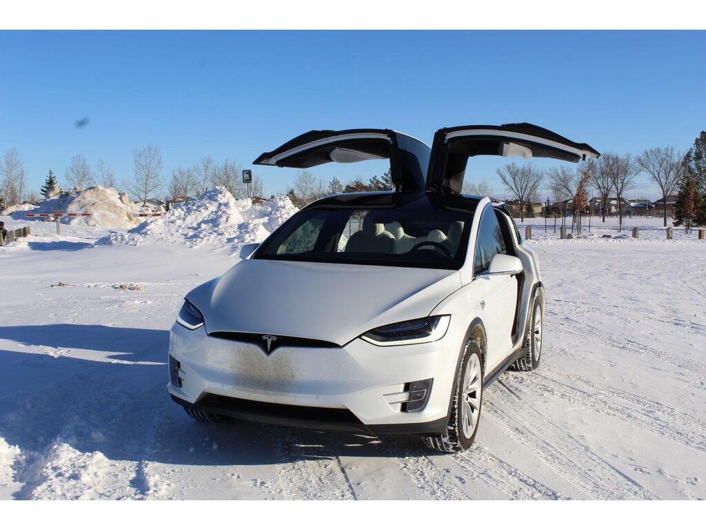 2020 Tesla Model X | $69,900 | 94,000 km | Electric Vehicle for sale by ...