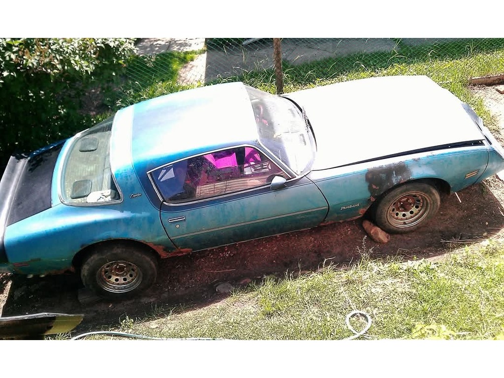 1980 Pontiac Firebird | $8,000 | 10,000 km | Gasoline - Hybrid Coupe ...